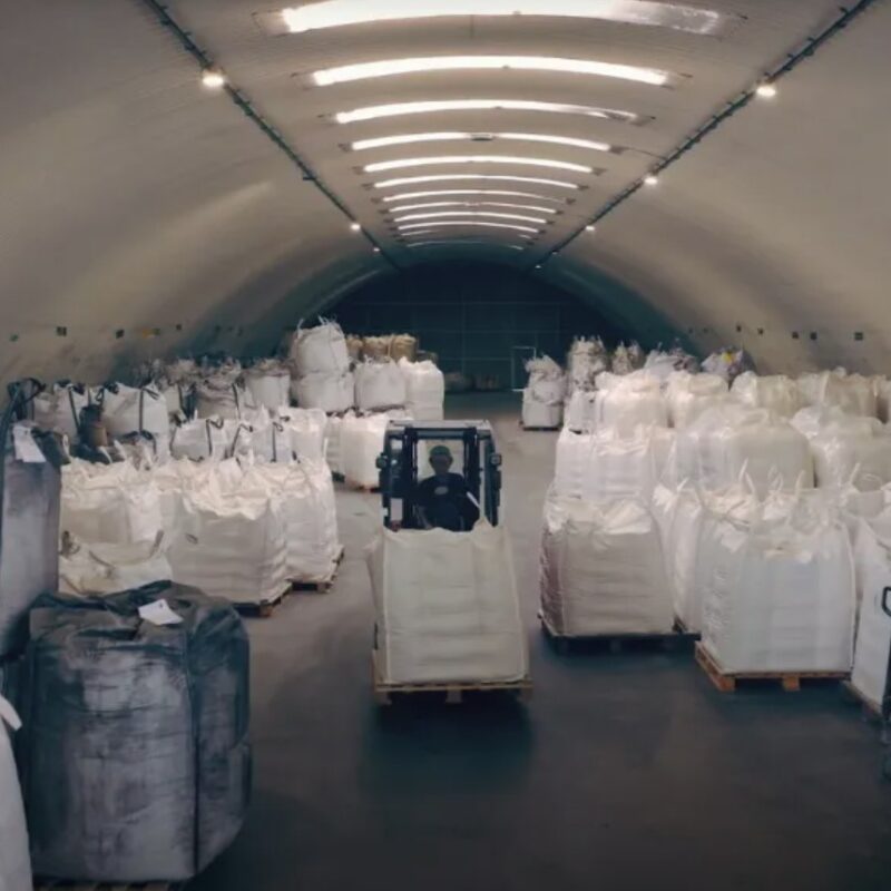 Rasy kur niosek: które znoszą najwięcej jajek?