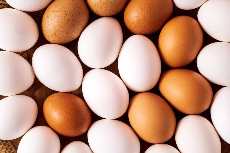 Rasy kur niosek: które znoszą najwięcej jajek?